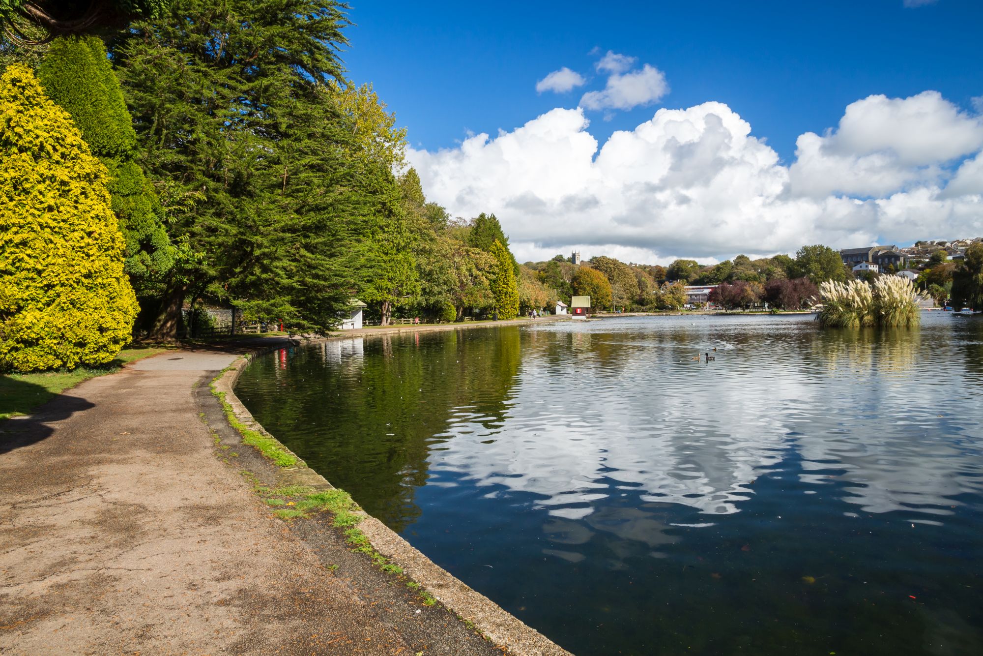 Summer Cinema at Helston Coronation Park - Stay Ca Holidays
